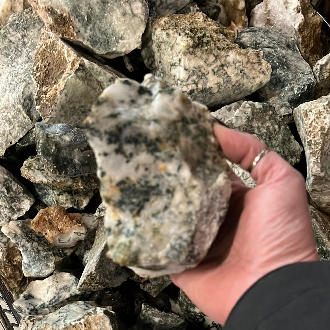 Tree Agate - Large Pieces - 1 pound – RoughStone.Rocks LLC