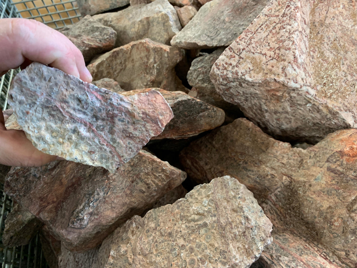 Leopard Skin Jasper - 10 pounds* – RoughStone.Rocks LLC