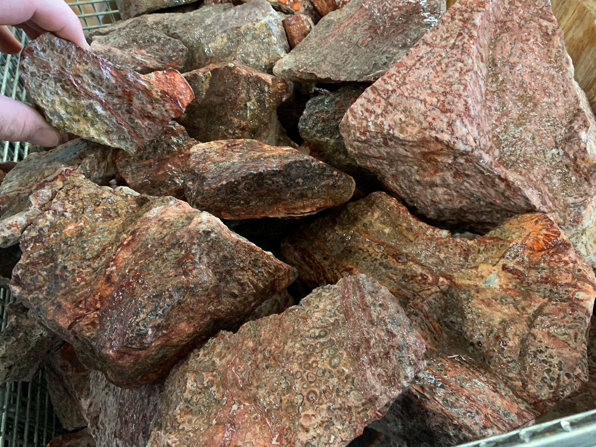 Leopard Skin Jasper - 1 pound* – Rough Stone LLC