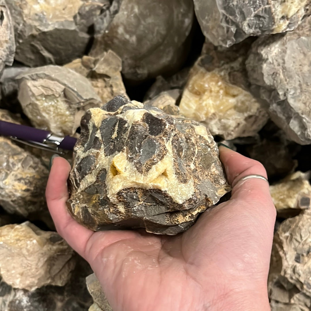 Septarian - Utah - 1 pound – RoughStone.Rocks LLC